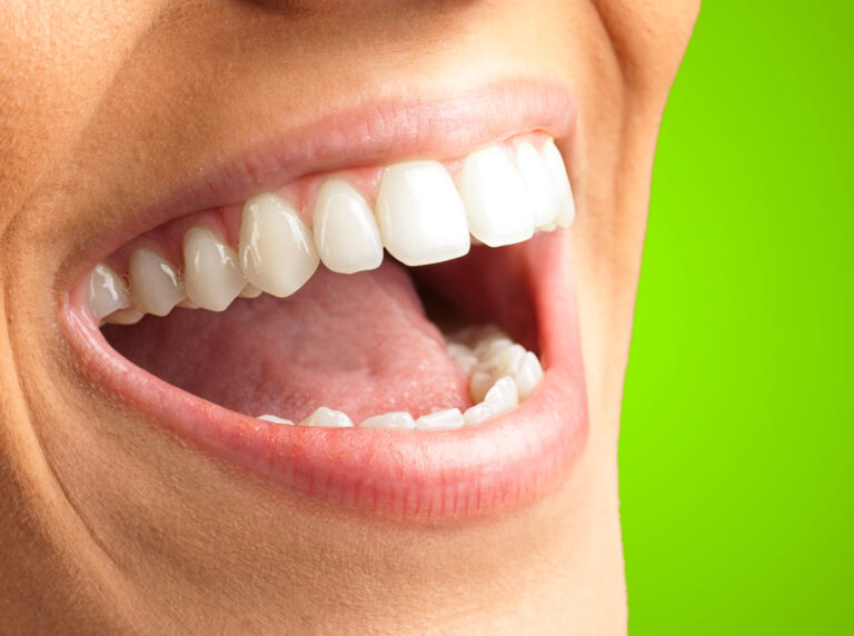 Você conhece a função de cada dente da nossa boca?